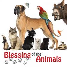 Blessing of the Animals - Cook's United Methodist Church